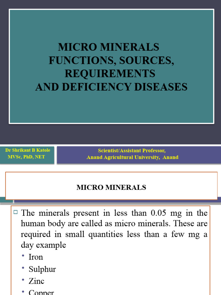 Micro Minerals | PDF
