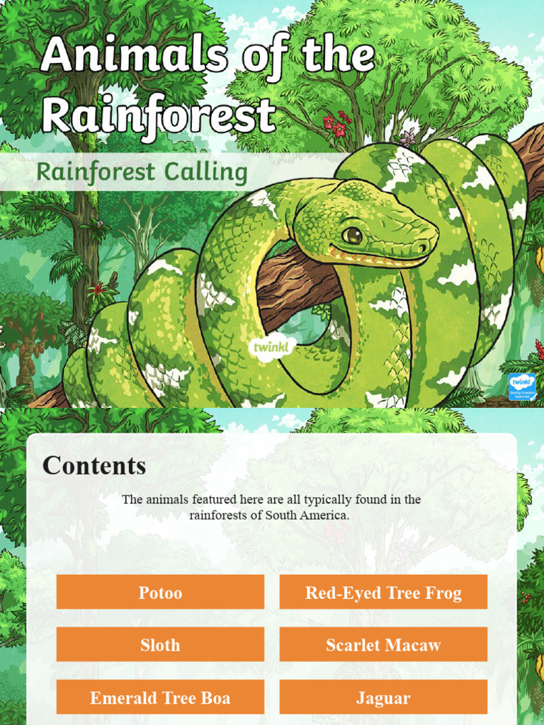 Animal Fact File PowerPoint | PDF | Home & Garden