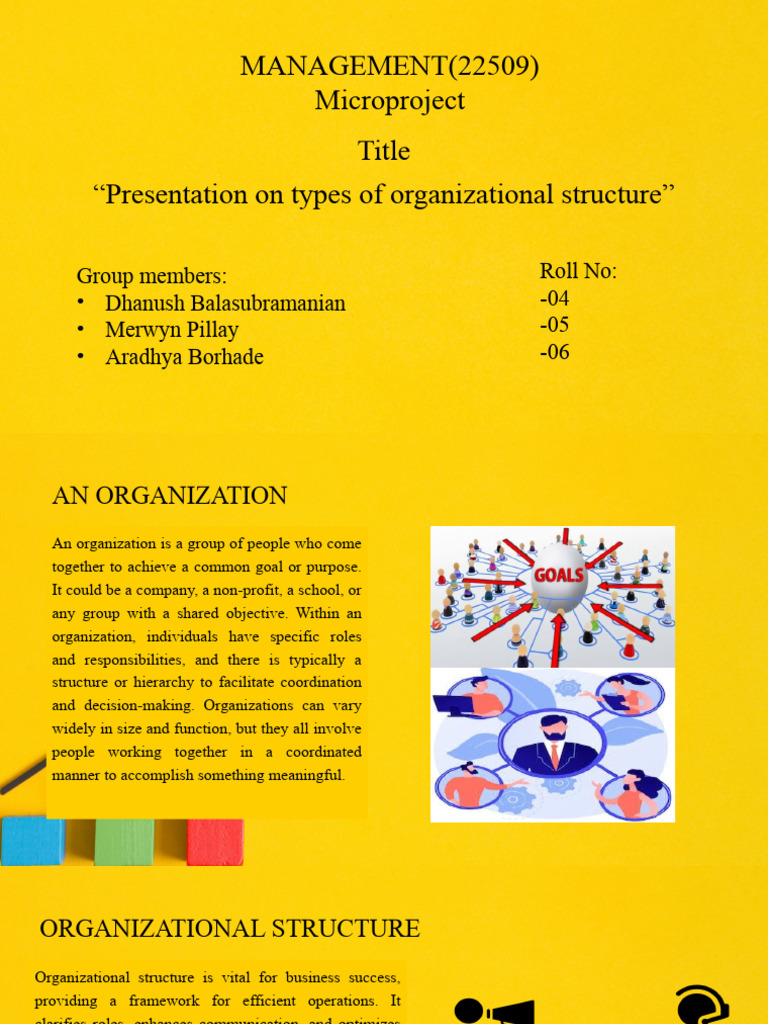 Types of Organization | PDF | Organizational Structure | Goal