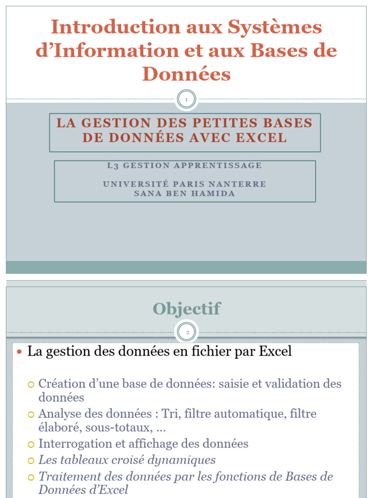 Cours1 Excel MiniSGBD - Vidéo | PDF