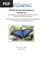 Classroom Butterfly Camouflage Activity | PDF | Camouflage | Mimicry