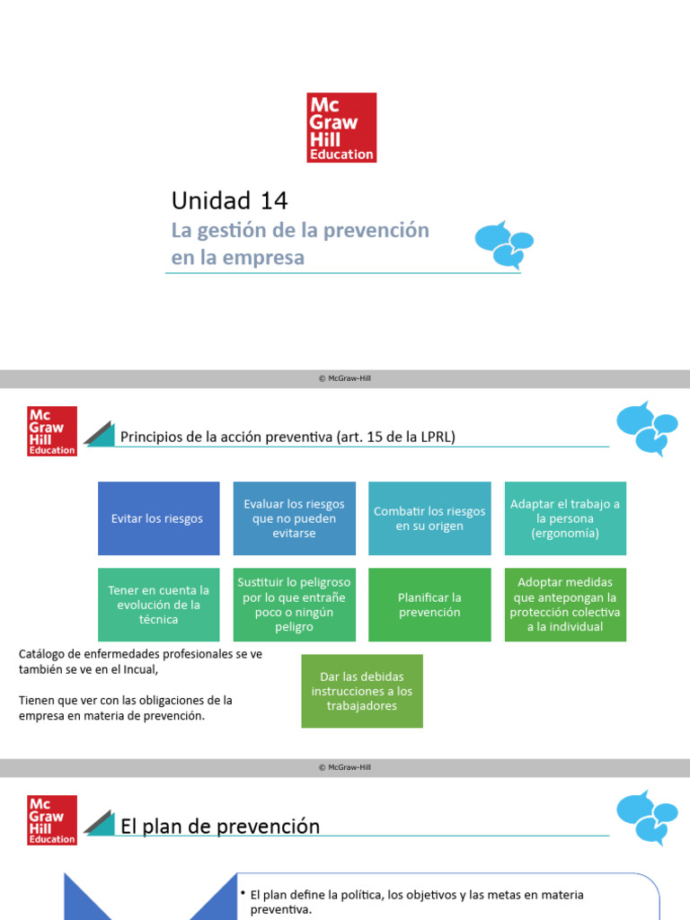 Gestion de La Prevencion de La Empresa | PDF