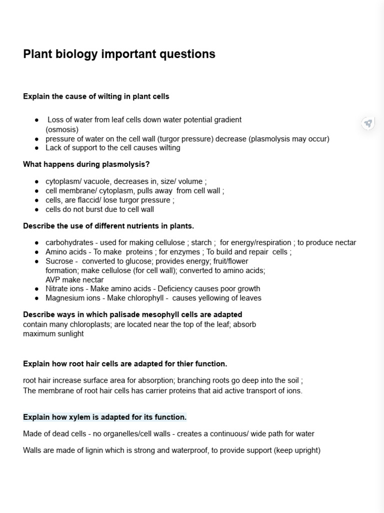 Key Plant Biology Exam Questions | PDF