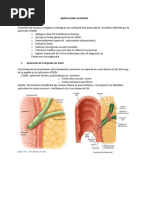 Anatomie de la Paroi Abdominale et de l'Aine | PDF | Péritoine | Abdomen