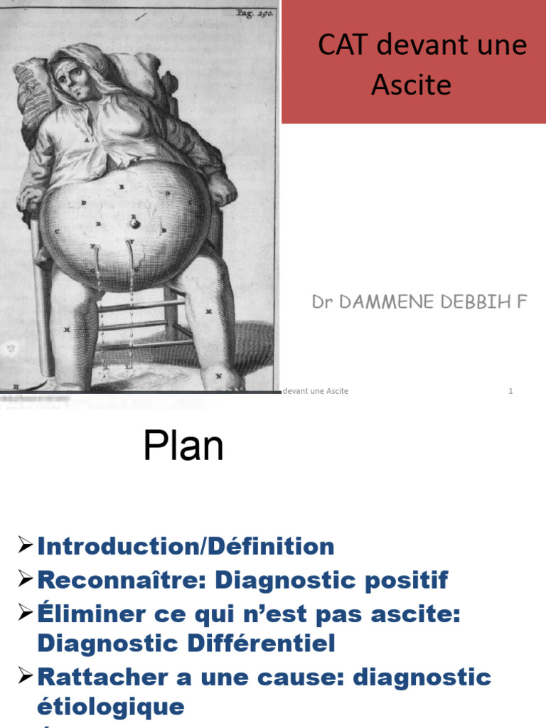 Cat Devant Une Ascite | PDF