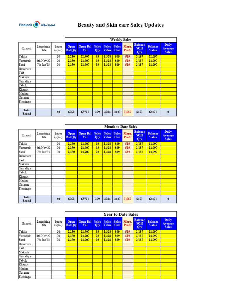 Weekly Beauty Sales Report Summary | PDF