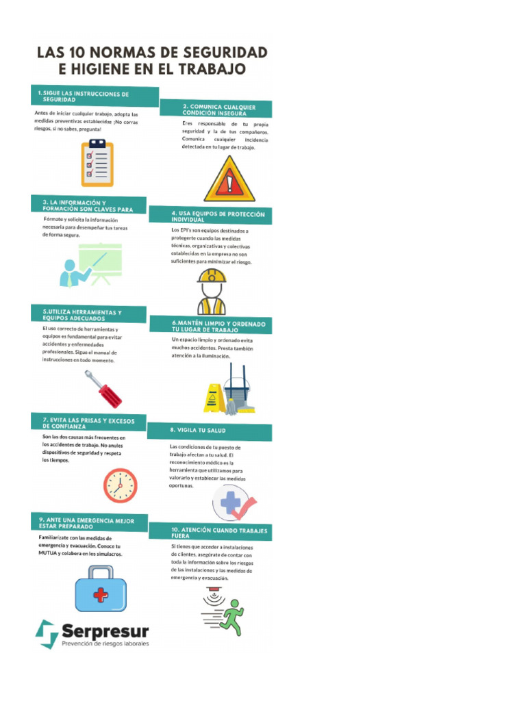 10 Reglas de Seguridad | PDF