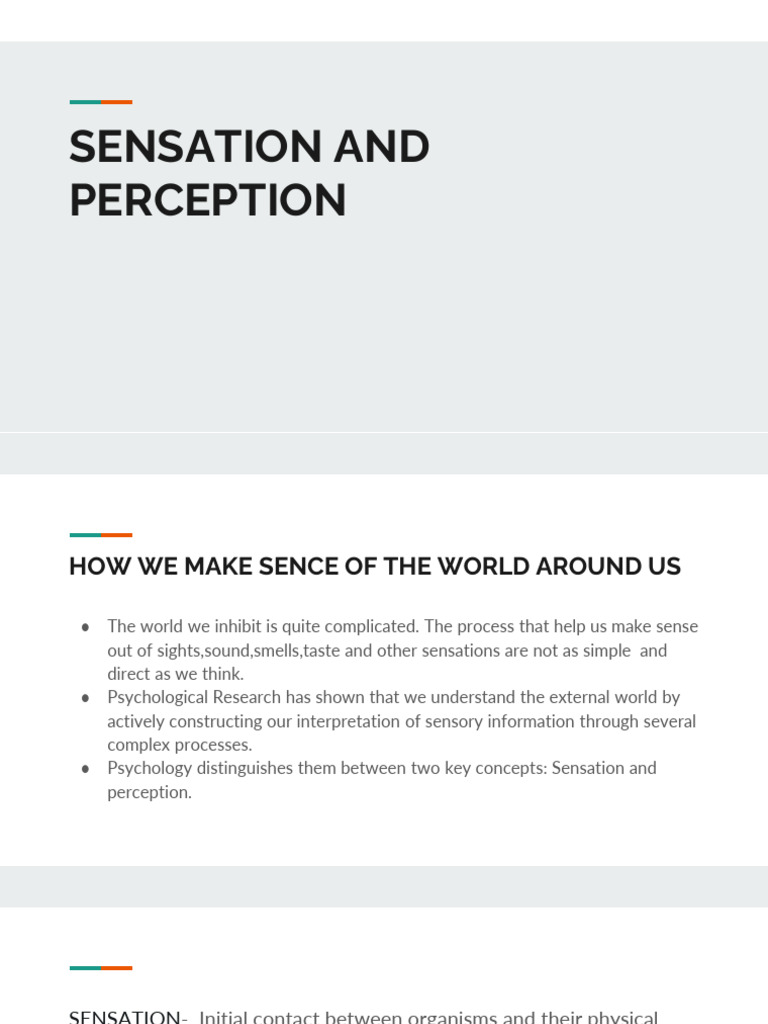 Sensation and Perception L | PDF | Perception | Senses