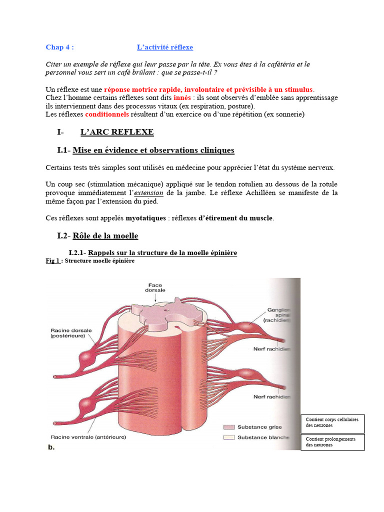 Pole 2 Chap 4 Activite Reflexe | PDF
