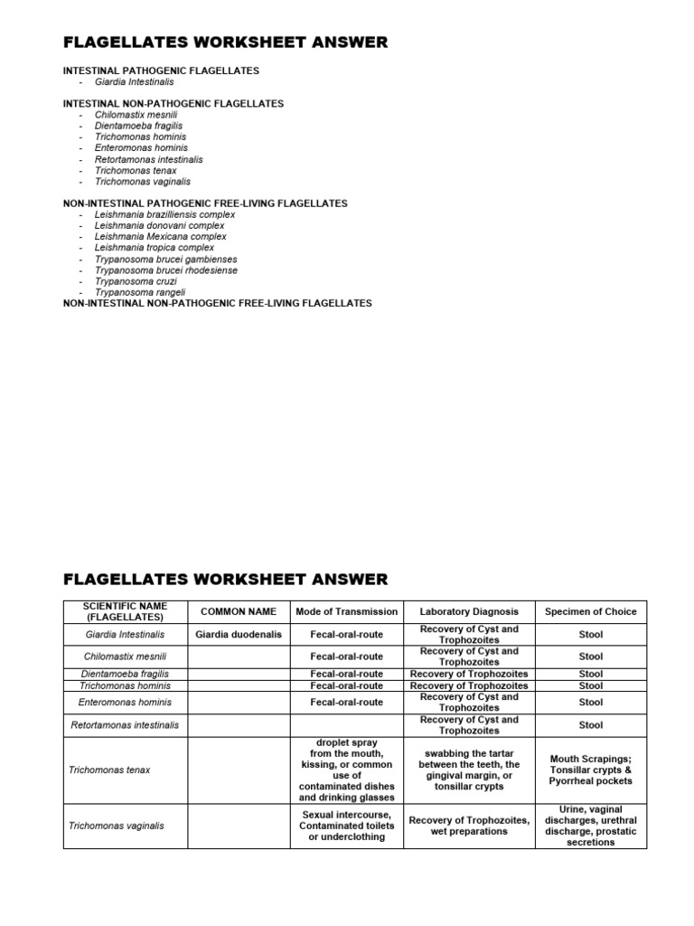 Flagellates Worksheet | PDF | Causes Of Death | Medicine