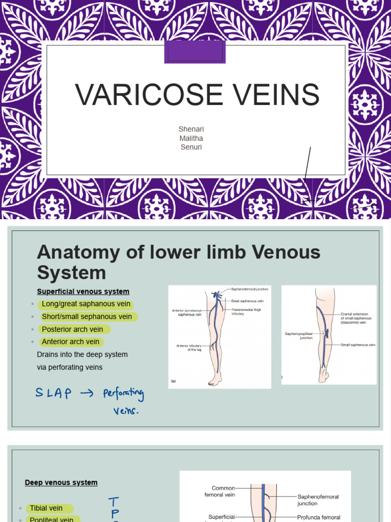 Venous System Examination | PDF | Vein | Clinical Medicine