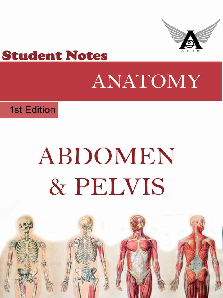 Abd&Amp PL Anat D& R Agam | PDF | Stomach | Liver