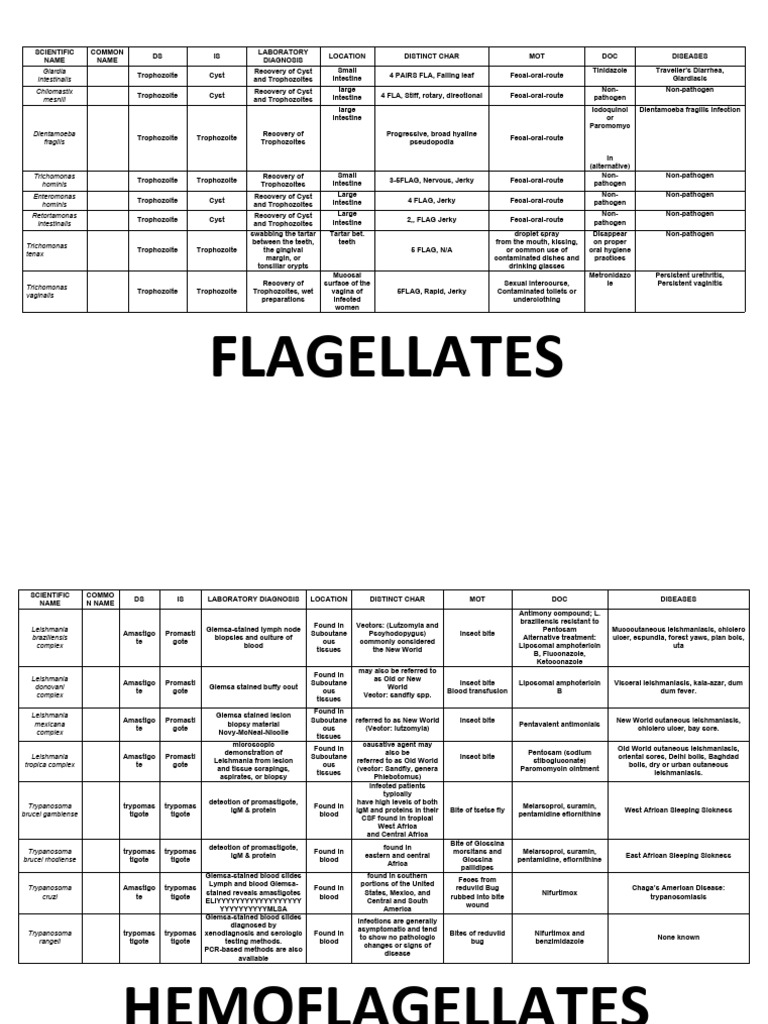 PARASITE TABLE | PDF