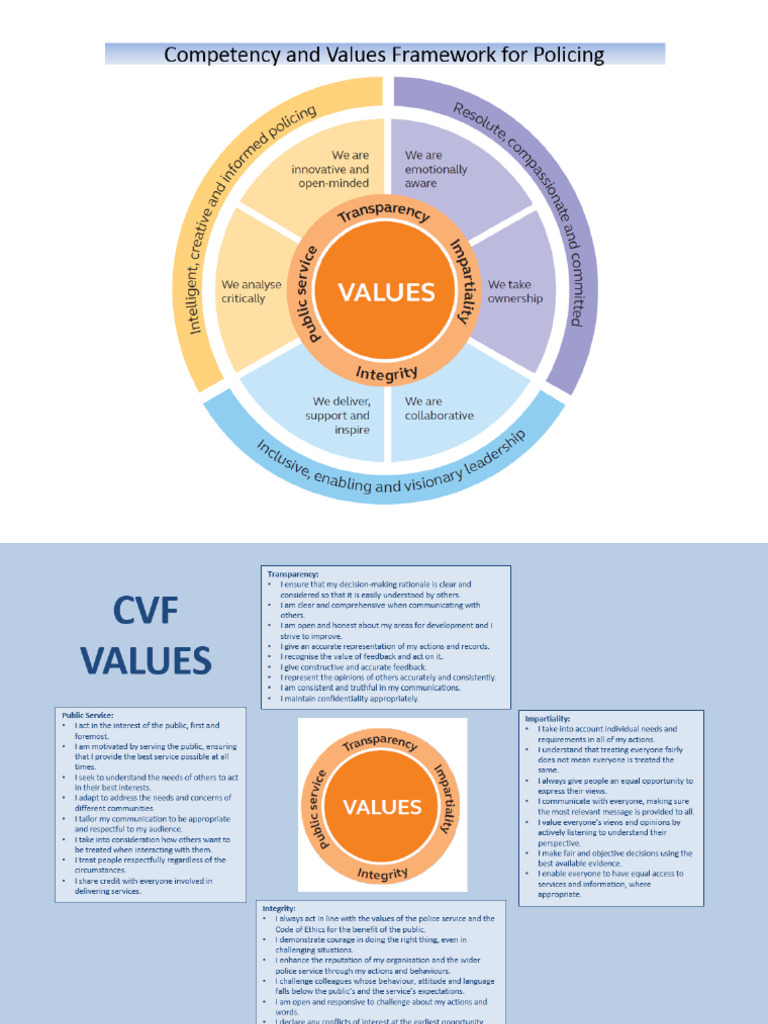 CVF Levels and Competencies 2 | PDF