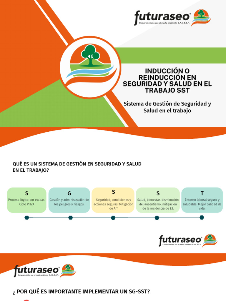 Induccion o Reinduccion SST | PDF