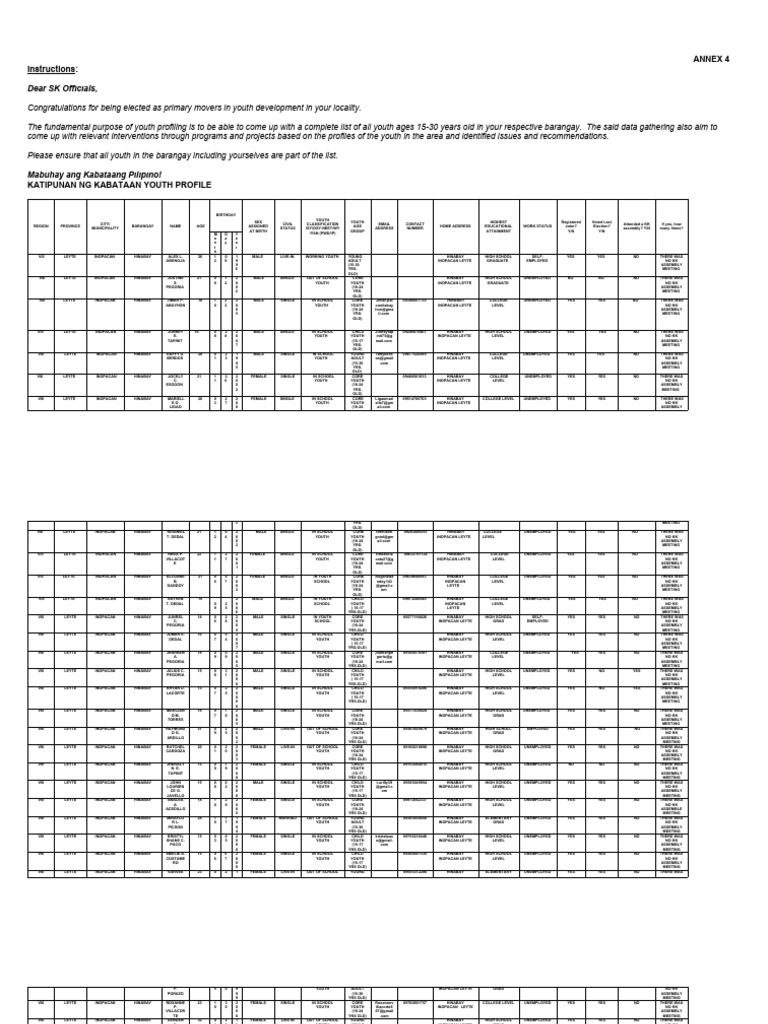 Annex-4-Word-Format KK of Hinabay Youth Profile 2024 | PDF | Youth