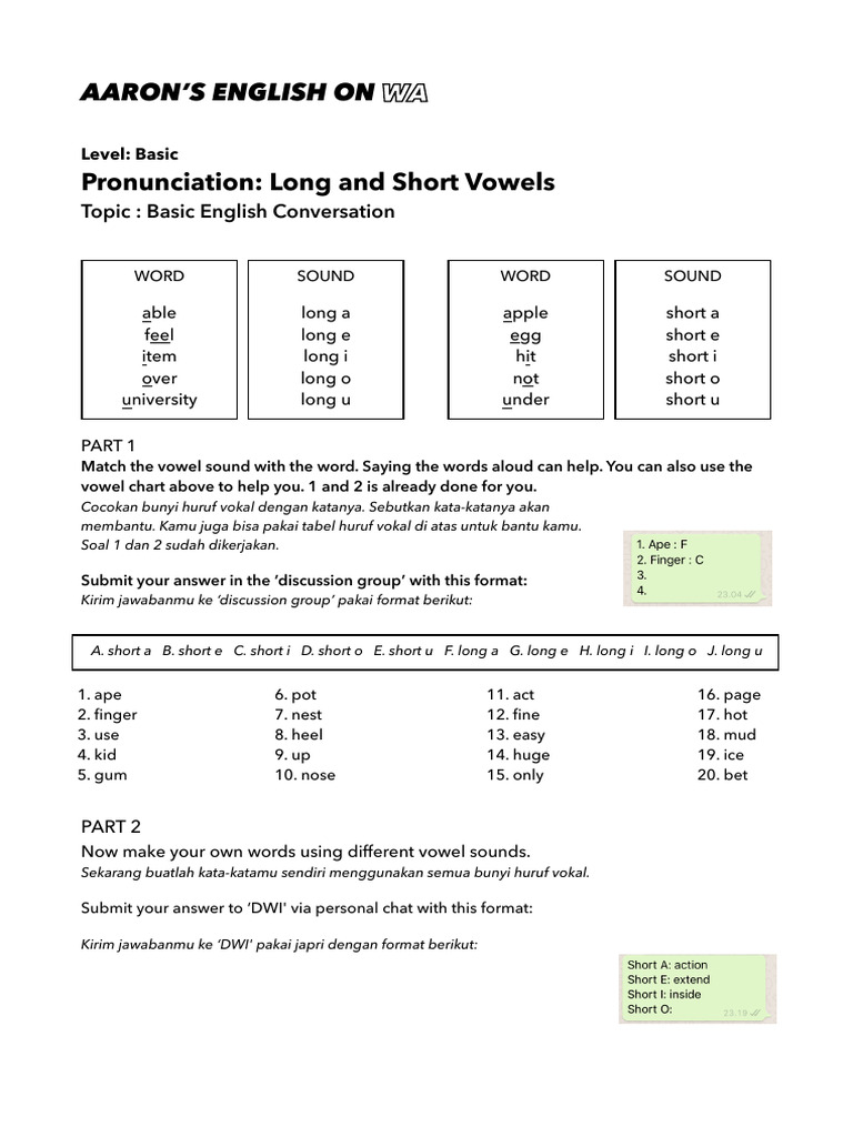 Basic English Vowel Sounds Practice | PDF