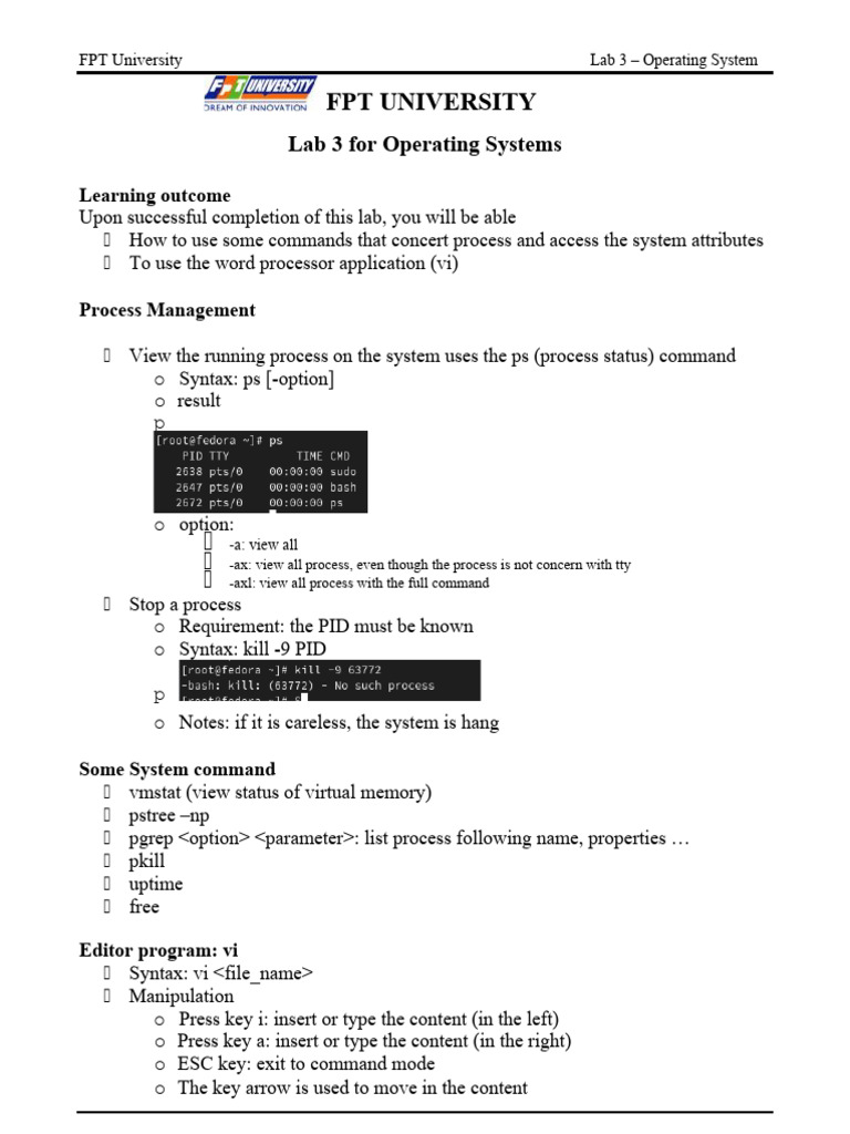 S12 - OS - Lab 3 | PDF