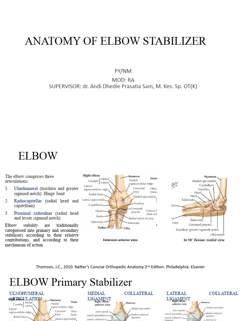 (HAND) 5 Februari 2021 - Elbow Stabilizer | PDF | Elbow | Anatomical ...