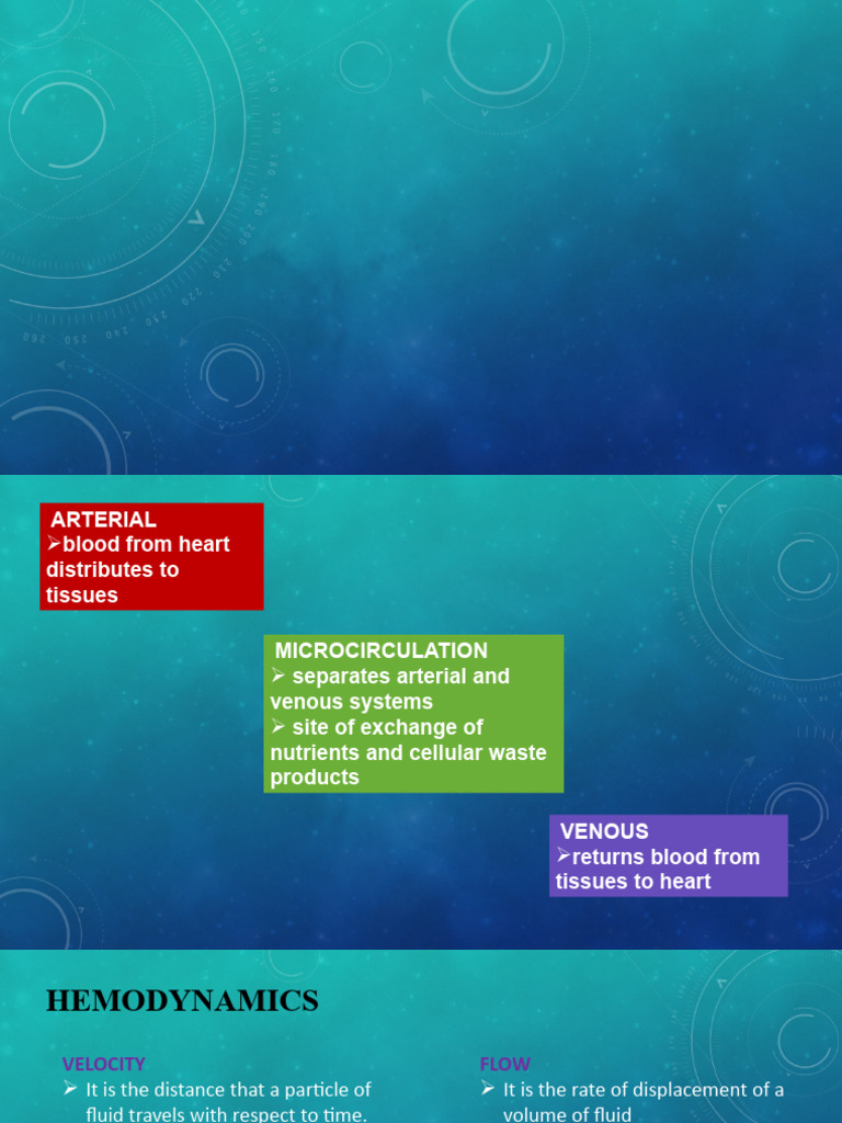 AMA - Physiology (Hemodynamics) For Year 1 | PDF | Blood Vessel | Vein