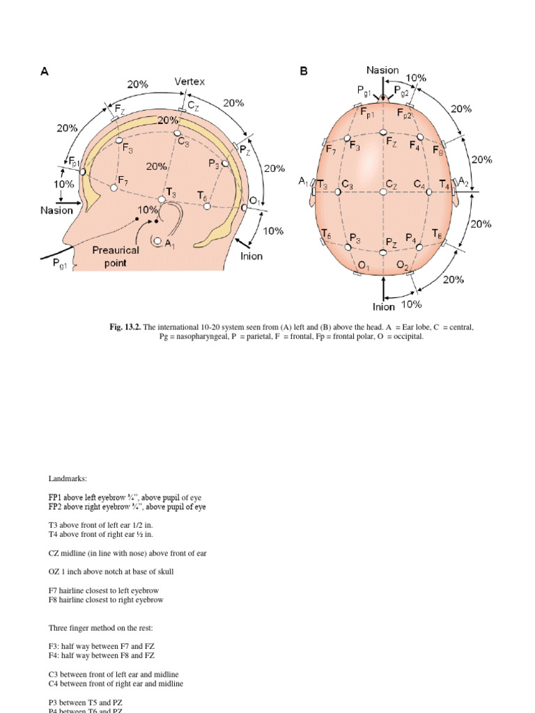 10-20 Sites W Landmarks For Therapist Training Manual | PDF | Science ...