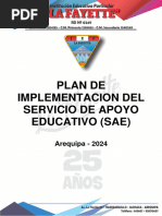 Modelo Del Plan Del Saei 2024 2025 | PDF | Evaluación | Educación primaria