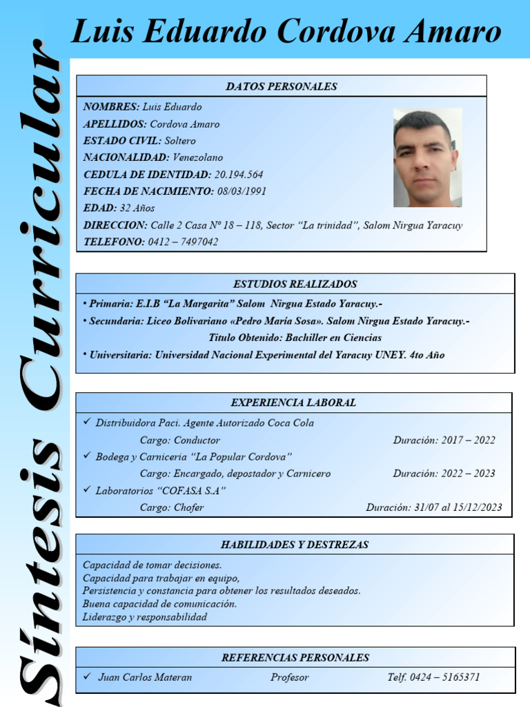 Curriculum LUIS EDUARDO CORDOVA | PDF