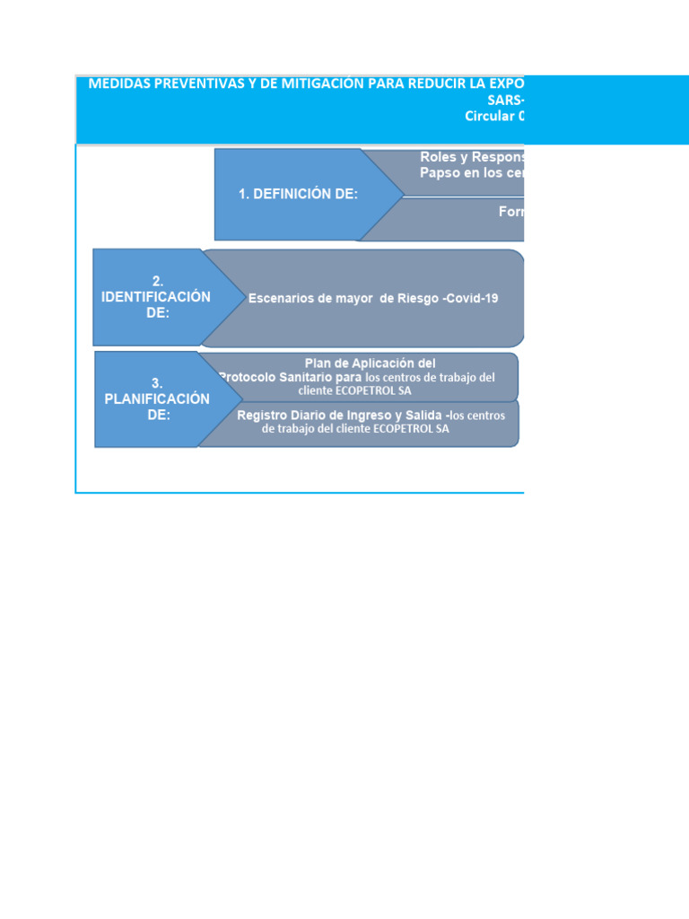 1.plan Aplicacion Protocolo Sanitario Papso | PDF