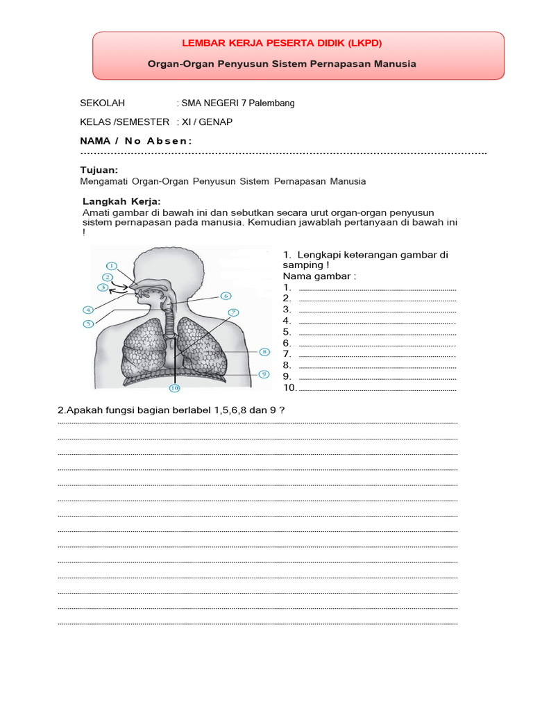 LKPD Organ Pernapasan | PDF