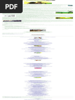 101 Favorite Stories From The Bible | PDF