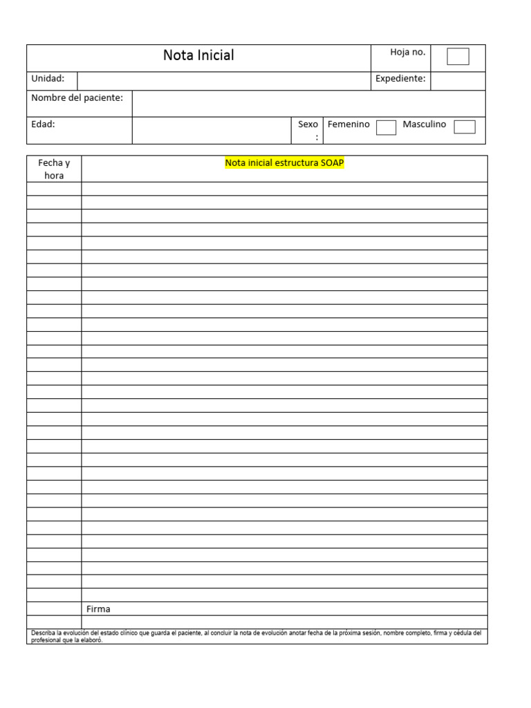 Nota de Evolución | PDF