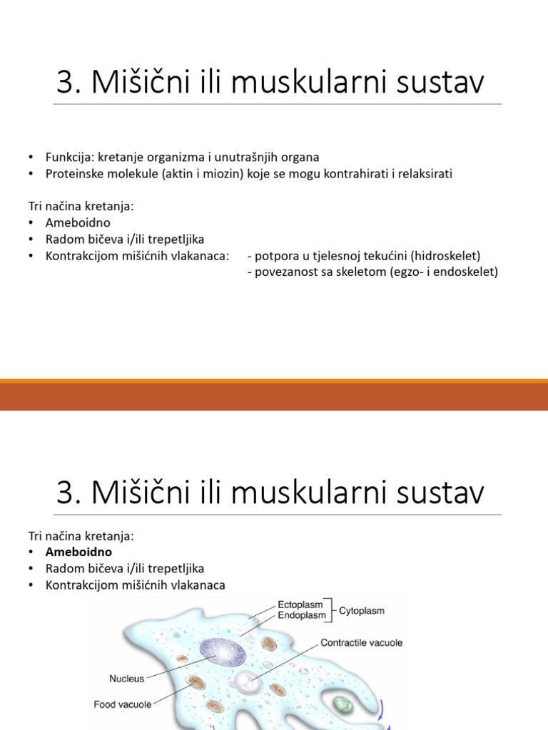 10 Tkiva I Organi II Ver2 | PDF