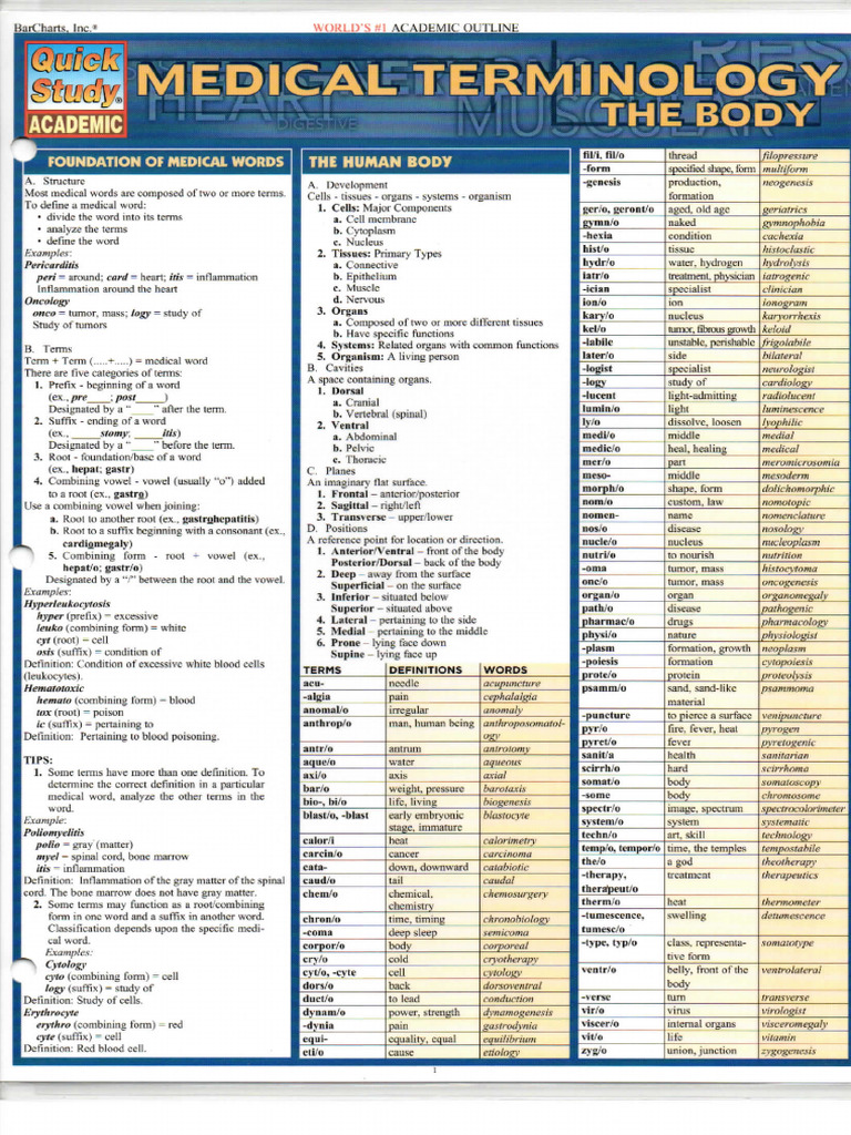 Medical Terminology | PDF