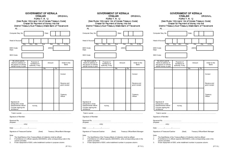 Treasury Challan | PDF | Personal Finance | Economies