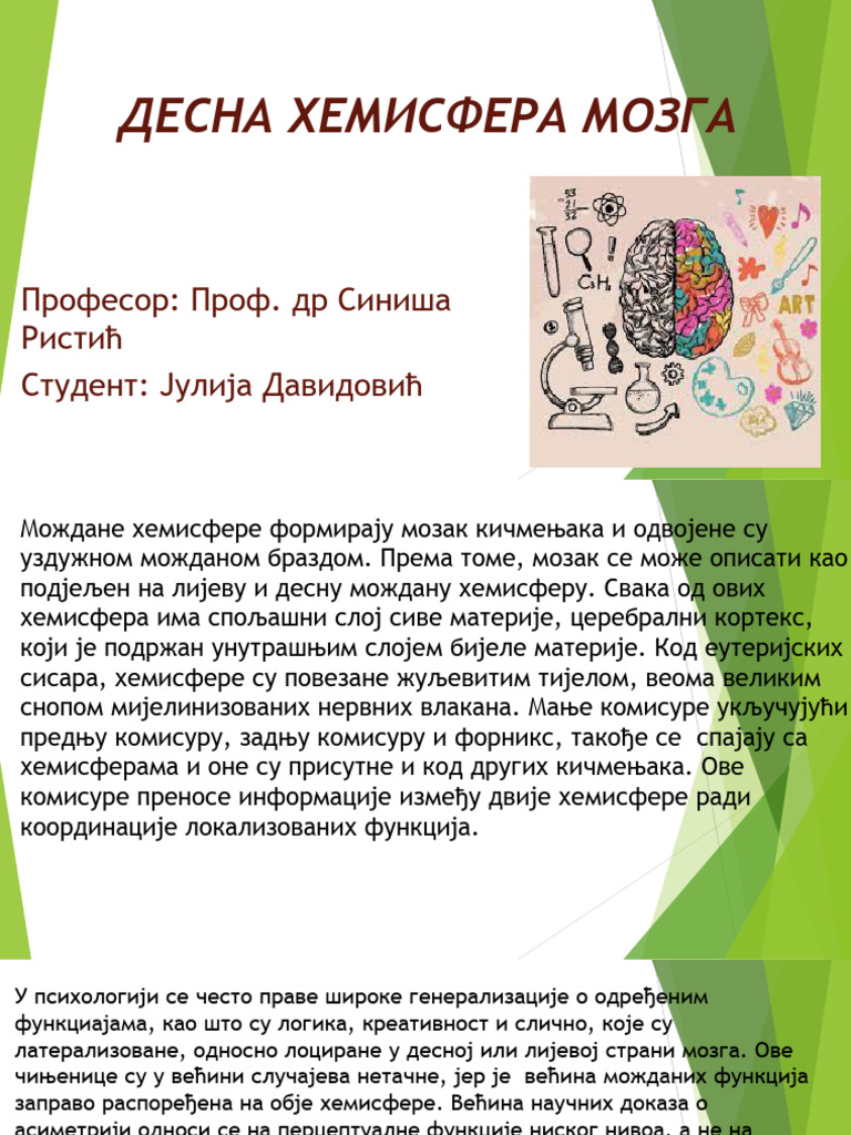 Desna Hemisfera JD | PDF