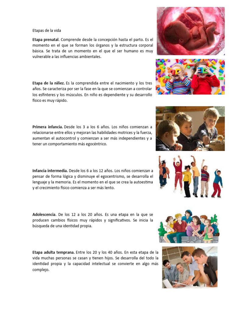 Etapas de La Vida | PDF | Autosuperación | Estilo de vida