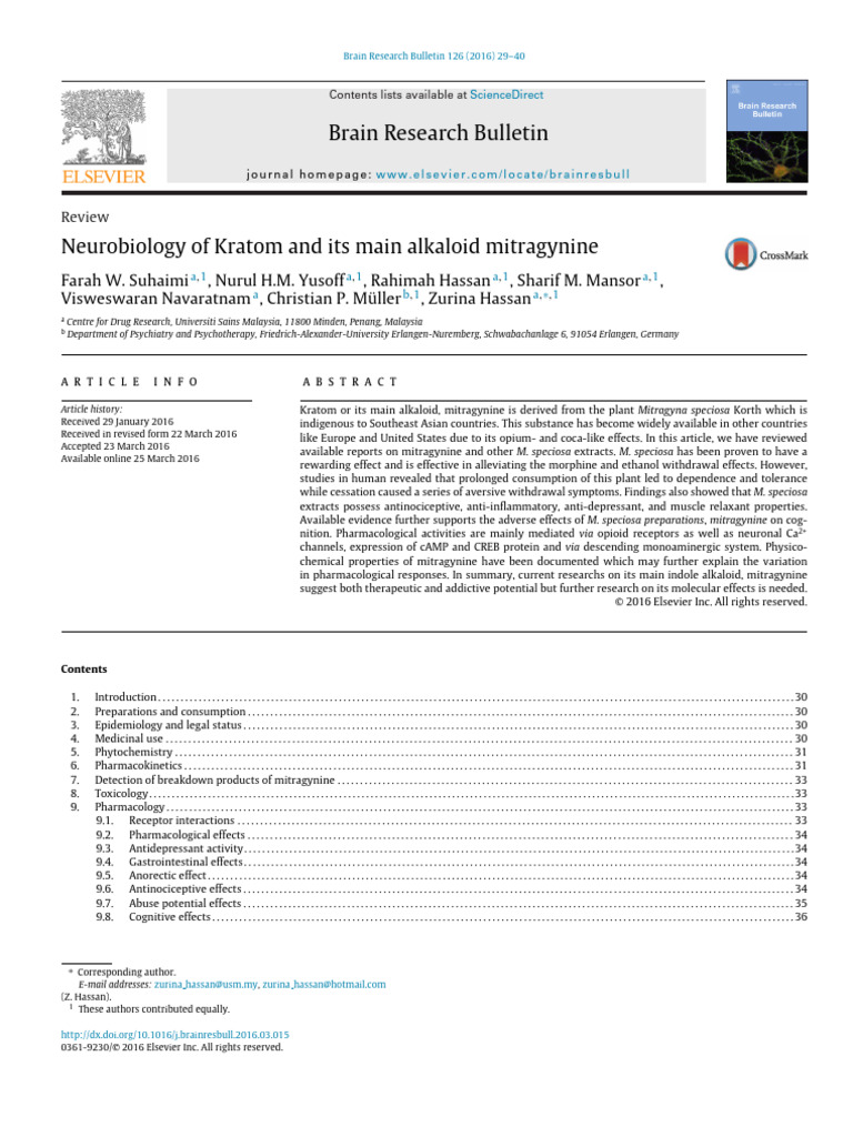 Neurobiology of Kratom and Its Main Alkaloid Mitragynine | PDF | Drug Metabolism | Chemistry