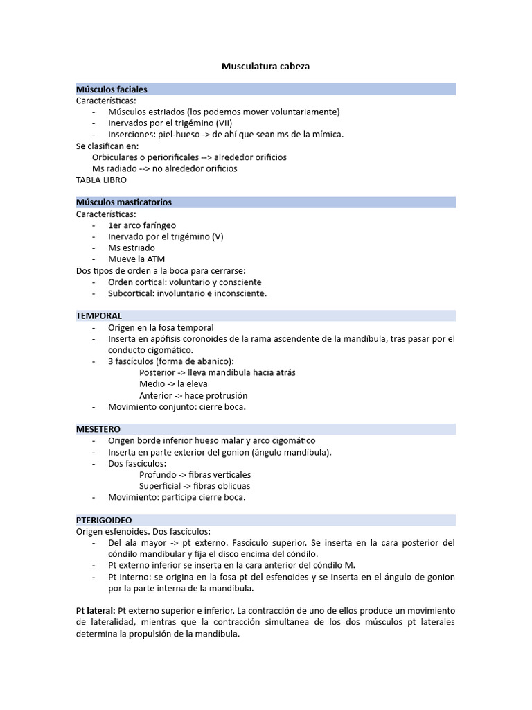 M. cabeza y cuello | PDF | Anatomía humana | Anatomía