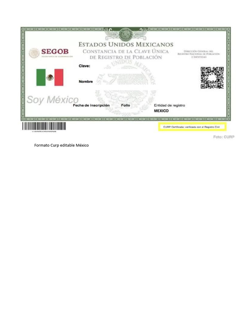 Formato Curp Editable | PDF