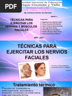 Involución Cutánea | PDF | Piel | Antioxidante