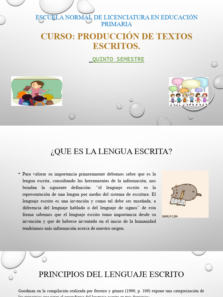 Importancia y Evolución de La Lengua Escrita | PDF