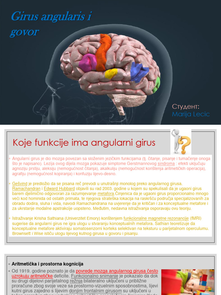 Girus Angularis I Govor M.L | PDF