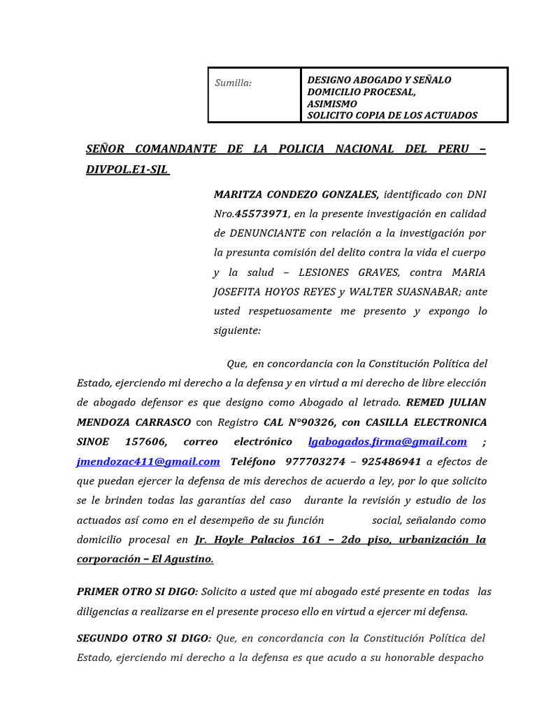 Apersonamiento Maritza | PDF