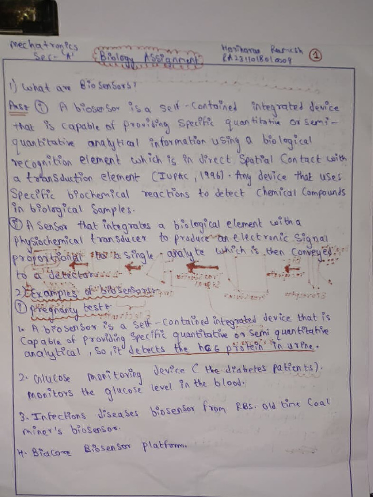 Hariharan Ramesh Biology PDF | PDF | Physical Sciences