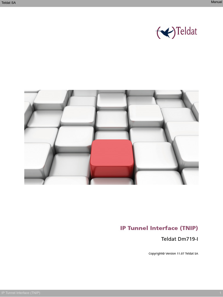Teldat Dm719-I IP Tunnel Interface (TNIP) | PDF | Internet Protocols ...