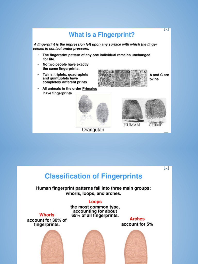 2nd Sem Fingerprint Dermatogyphics | PDF | Fingerprint | Hand
