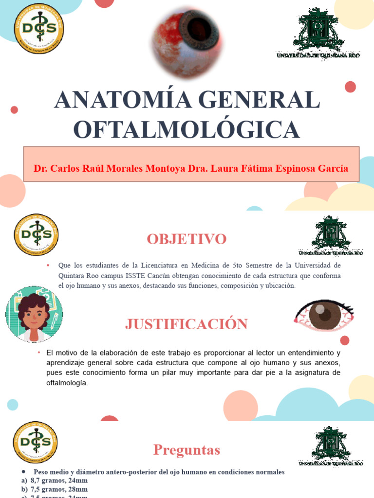 ANATOMÍA GENERAL OFTALMOLÓGICA. Erika Medina Uc.2 | PDF