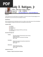 Daily Manpower Deployment Sheet | PDF