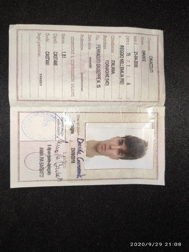 Carta D'identità | PDF