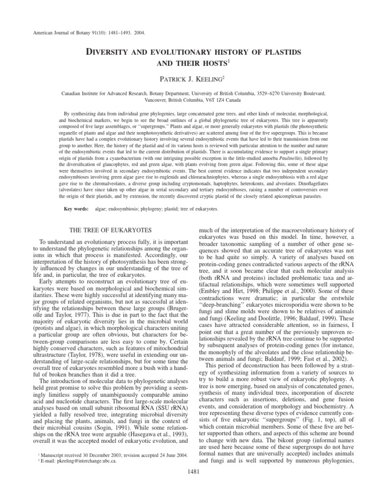 Ajb 91 10 1481 | PDF